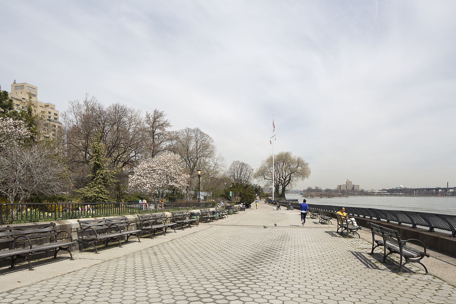 Annual Awards 2020: Bringing the Outside In - Friends of the Upper East ...